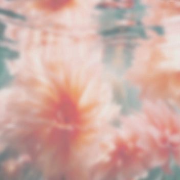 SHOP ALL – Loco Love